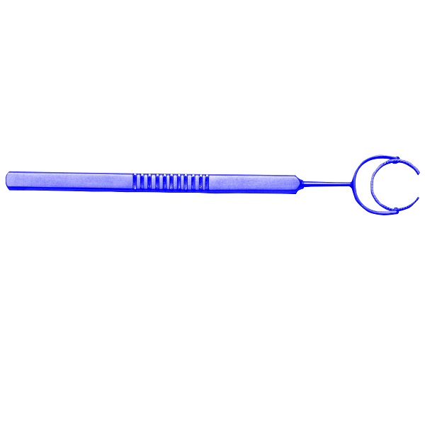 Globe Fixation Ring – Aidmaxmed – Online Shop